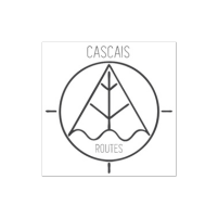 Brave Generation Academy