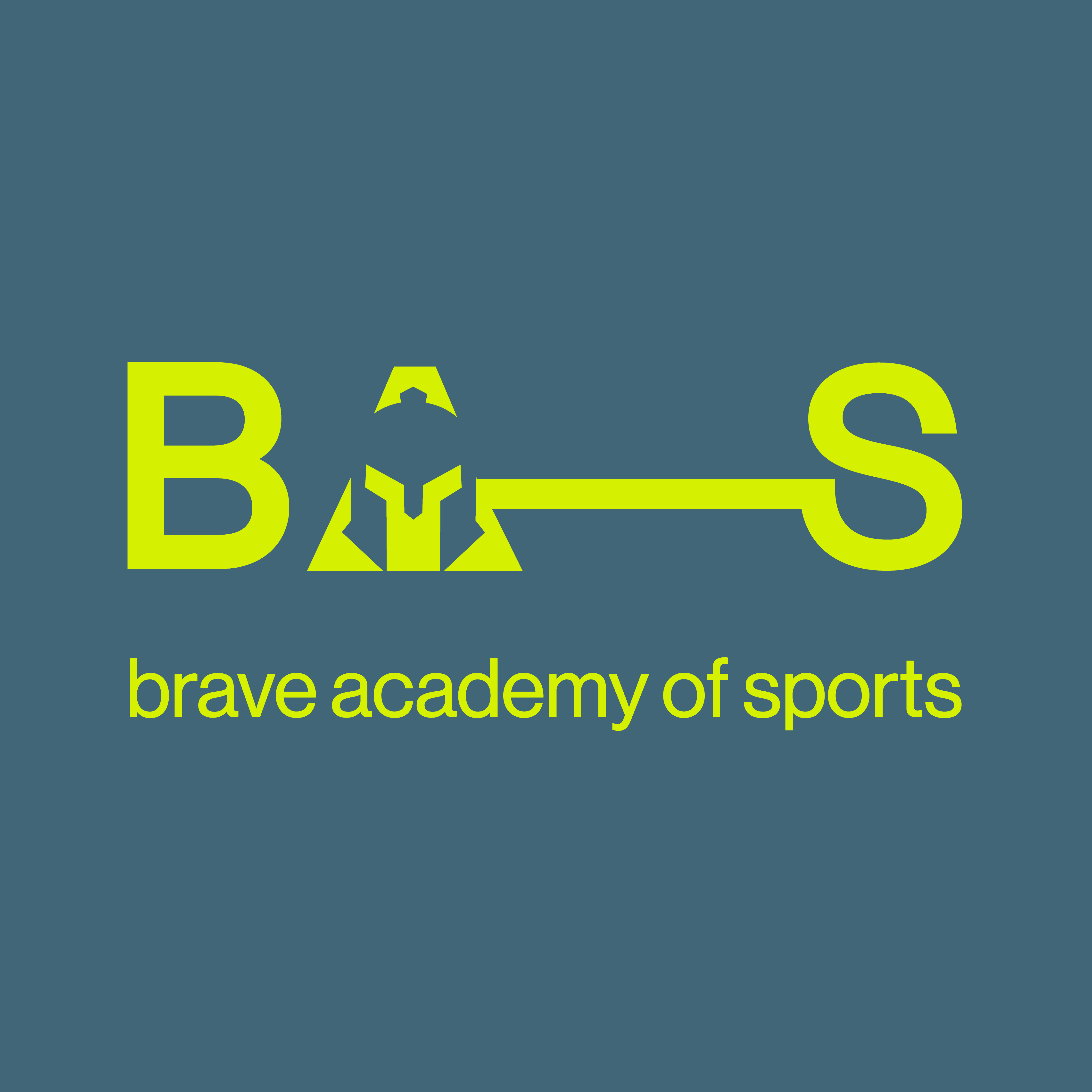 Education For Athletes | Brave Academy Of Sports | BGA
